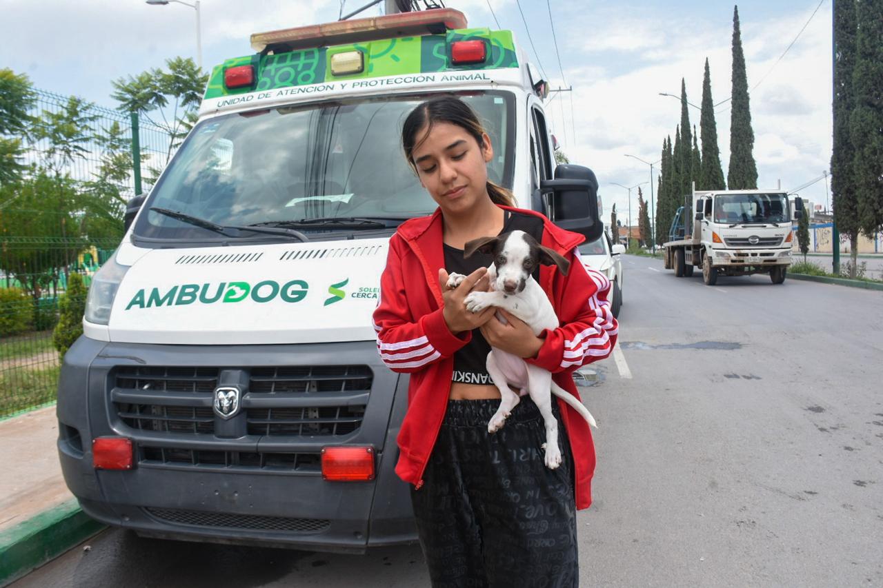 EN EL AÑO 2025, AMBUDOG EN SOLEDAD OTORGÓ MÁS DE 5 MIL ATENCIONES ...