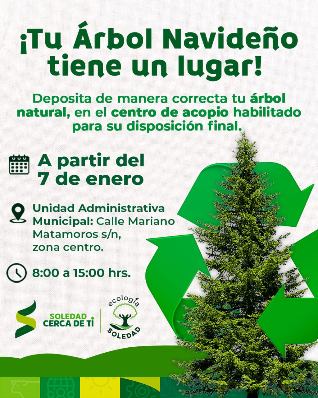 AYUNTAMIENTO DE SOLEDAD HABILITA CENTRO DE ACOPIO DE ÁRBOLES NAVIDEÑOS ...
